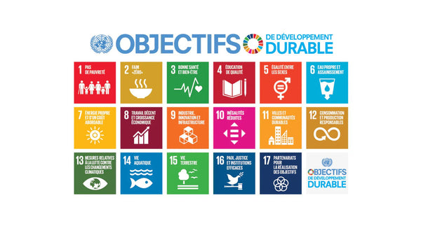 Les 17 Objectifs de Développement Durable (ODD) : Guide Complet pour un ...