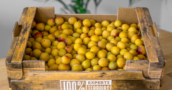🥕 Colis Fruits & Légumes – Le meilleur du terroir français 🇫🇷 ...